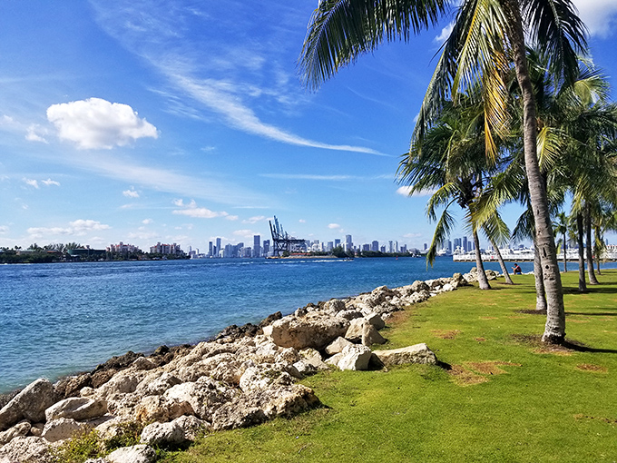 Where the Atlantic Ocean and Biscayne Bay perform their daily dance, with Miami's skyline as the glittering backdrop.