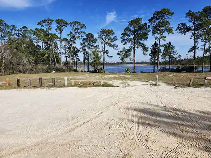 Lakefront sites offer water views that beat any screensaver, with the added bonus of actual fresh air instead of recycled office atmosphere.