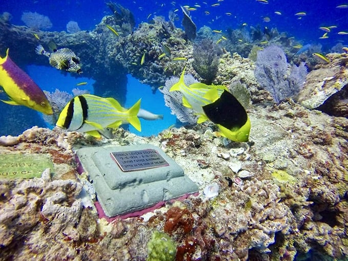 Each plaque tells a story of someone who chose to become part of something larger than themselves&mdash;literally becoming the foundation for new life.
