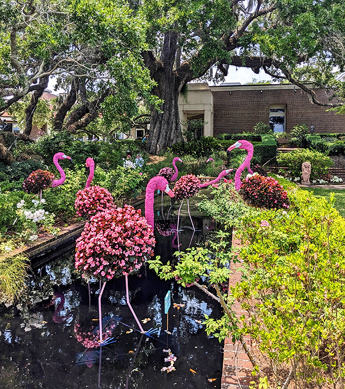 Pink flamingos that won't destroy your lawn &ndash; these topiary birds add whimsy among perfectly manicured garden beds.
