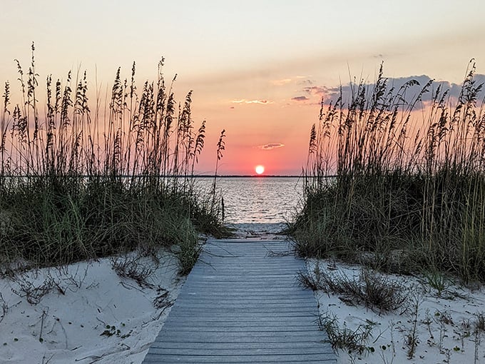 Nature's nightly masterpiece paints the sky in impossible colors, framed perfectly by sea oats swaying in the gentle evening breeze.