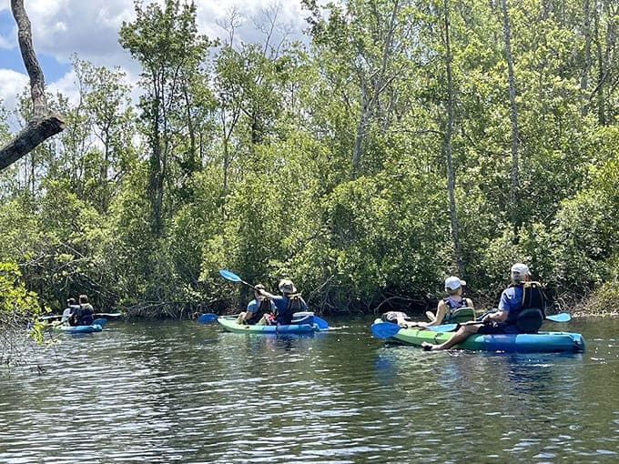 Kayakers gliding across Lake Griffin discover that the best therapy doesn't require a couch, just a paddle and some patience with the current.