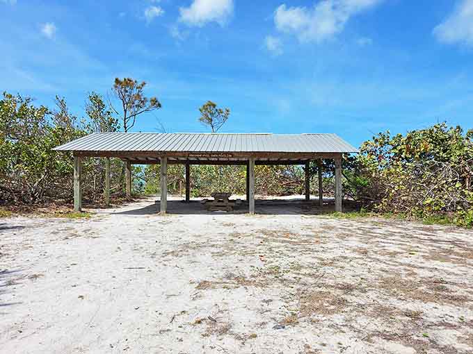 The Marianne and Phil Owen Pavilion offers a shaded respite for beachgoers, with Gulf views that make even a simple picnic feel special.