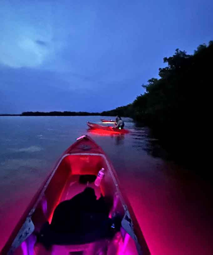 Pink and purple lights transform ordinary kayaks into floating neon sculptures, adding a human touch to nature's bioluminescent display.