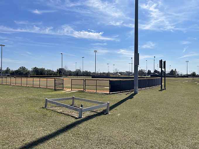 Multiple sports fields spread across the landscape like a buffet of athletic options, because why choose between baseball, soccer, and cricket when you can have all three?
