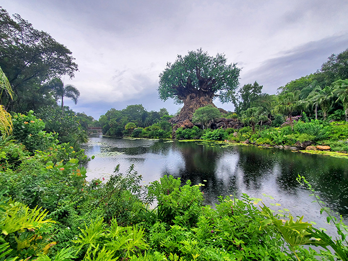 Tranquility meets wilderness as this serene pond reflects nature's majesty – a peaceful moment amid the park's exciting attractions.
