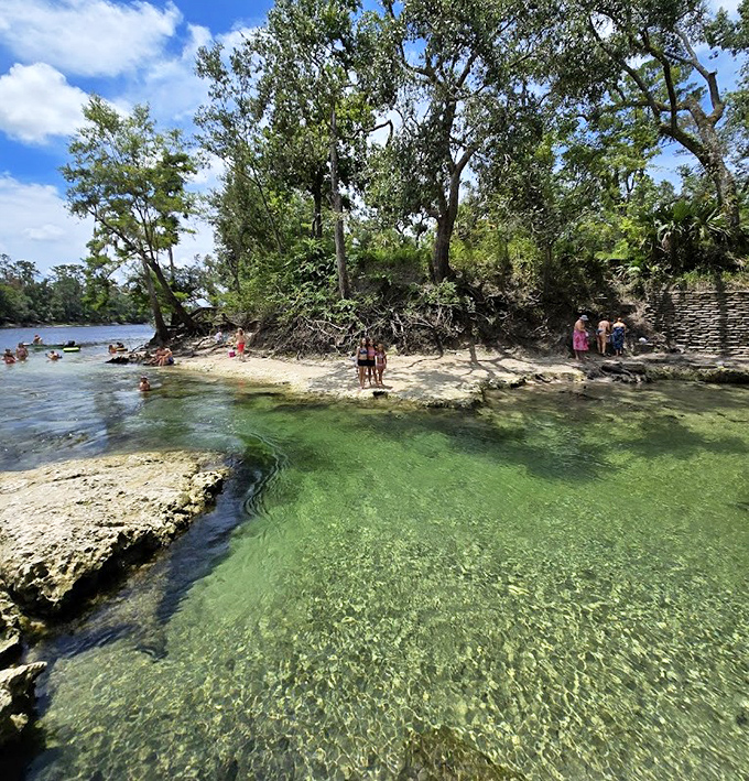 Where spring run meets beach area: Mother Nature's version of a resort where the only membership requirement is appreciation.