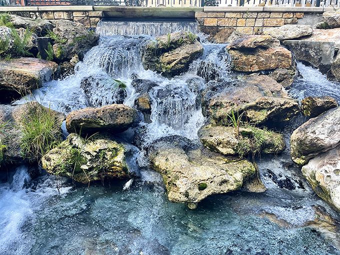 Water tumbles over ancient limestone in the spring run, creating nature's own meditation soundtrack on its journey to the river.