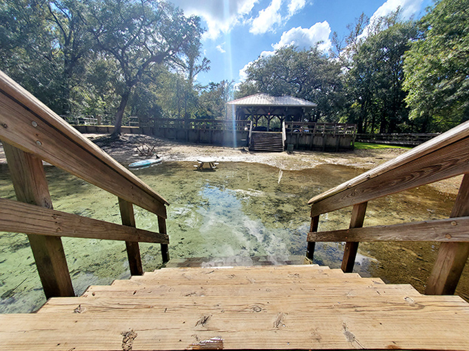 Wooden steps lead down to a gazebo overlooking the spring, where visitors gather to marvel at nature's perfect swimming pool.