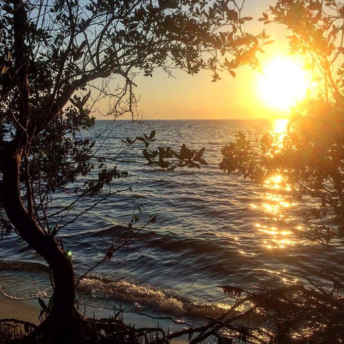 Sunset at the park transforms the sky into a masterpiece that makes you forgive Florida for all those humid summer days and surprise afternoon thunderstorms.