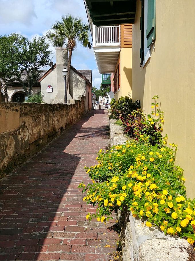 Bright flowers soften the ancient stone walls, adding cheerful color to a passage that's seen everything from treasure-laden pirates to selfie-taking tourists.