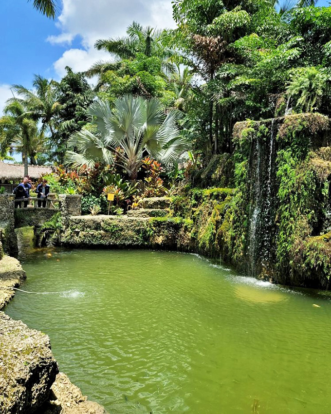 Lush tropical landscaping and cascading waterfalls make every corner of the property a feast for the eyes.
