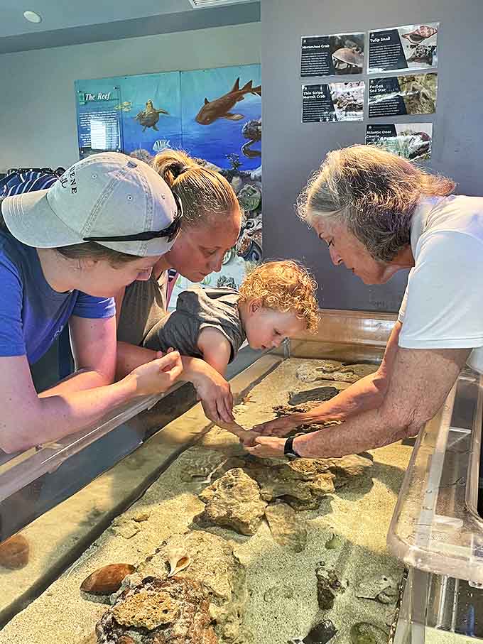 Three generations gathered around a touch tank, proving that wonder and curiosity have no age limit when marine life is involved.