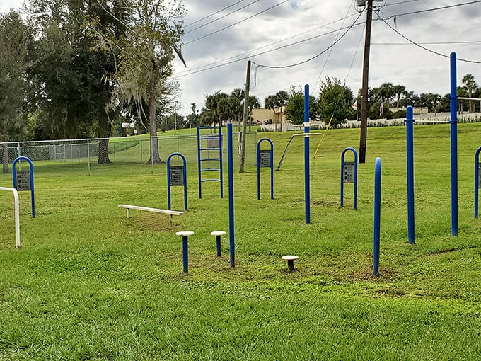 This community field isn't just grass and goal posts&mdash;it's where local legends are born every Saturday morning.