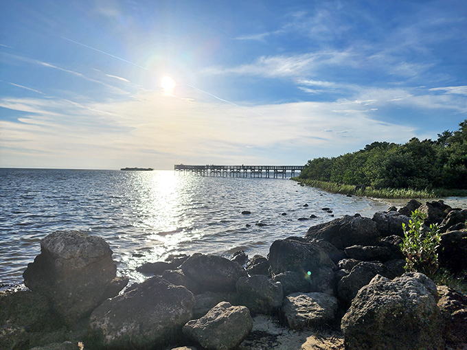 Sunlight playing across the water creates that sparkle effect Hollywood tries to replicate but never quite captures as beautifully as the real thing.