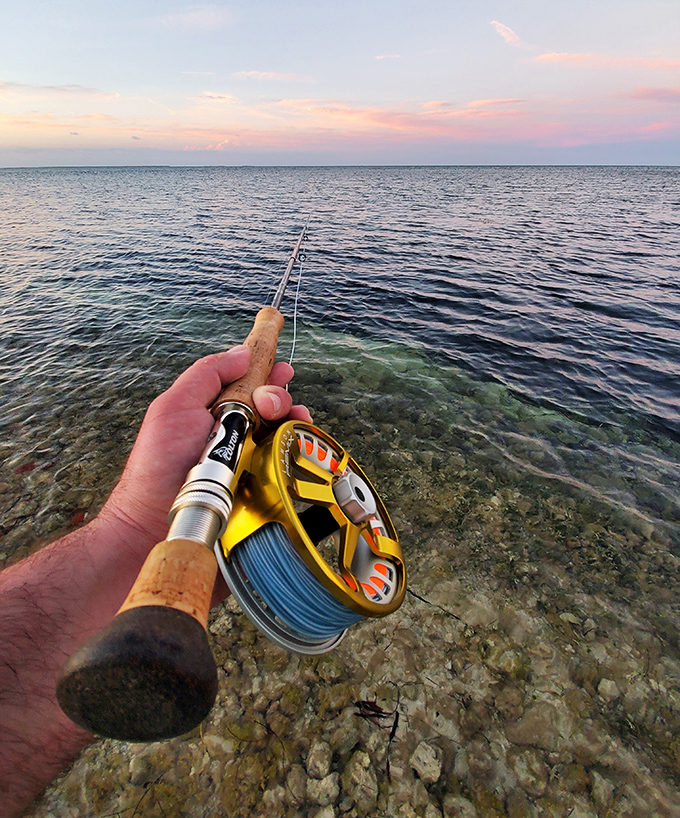 "Office view for the day" &ndash; trading spreadsheets for fishing lines where the only urgent notifications come from tugging fish.