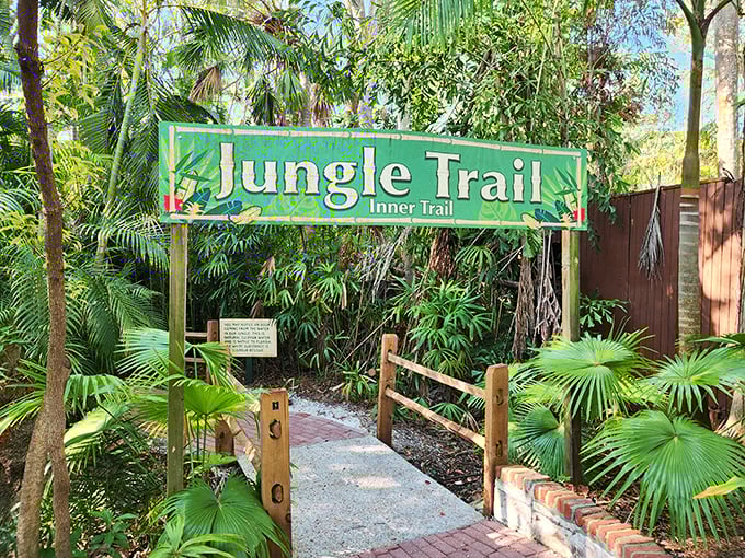 The Jungle Trail entrance promises adventure without the need for machetes, bug spray, or Indiana Jones-style bravado.