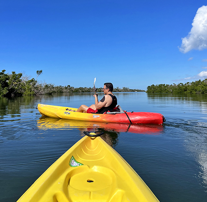 Exploration mode activated: A kayaker paddles through crystal-clear waters, where every stroke reveals new underwater treasures.