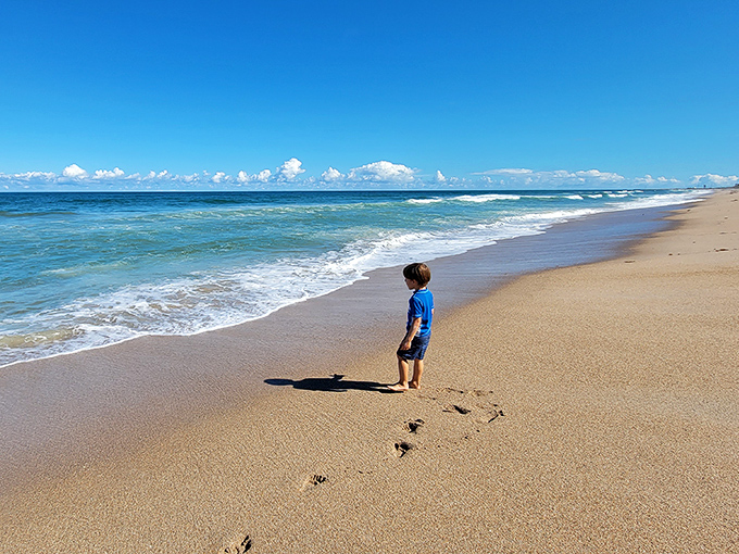 A young explorer discovers the joy of undeveloped shoreline, where the only app is imagination and the only screen is horizon.