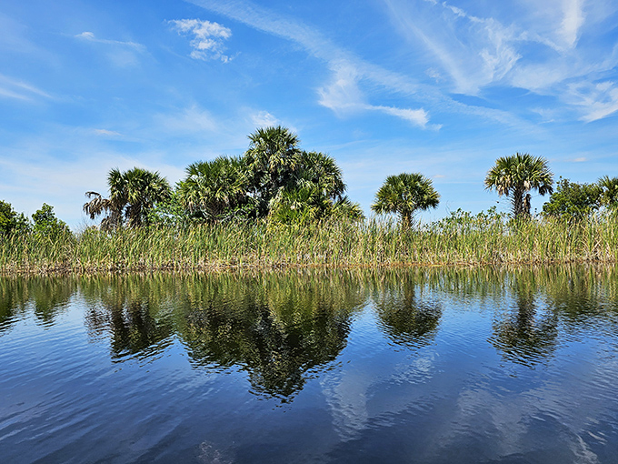 The perfect Florida postcard: palm trees reflected in still waters, nature showing off with casual elegance that no filter could improve.