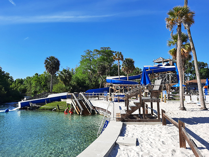 The blue serpent of summer fun winds its way down wooden scaffolding, tempting thrill-seekers with its twisting aquatic journey.