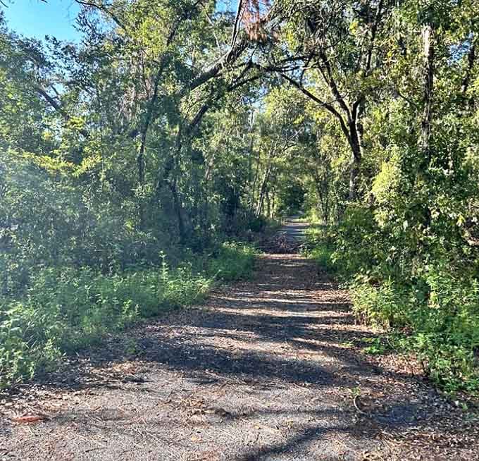 The multi-use trail invites all travelers, its smooth surface a perfect compromise between wilderness and accessibility.