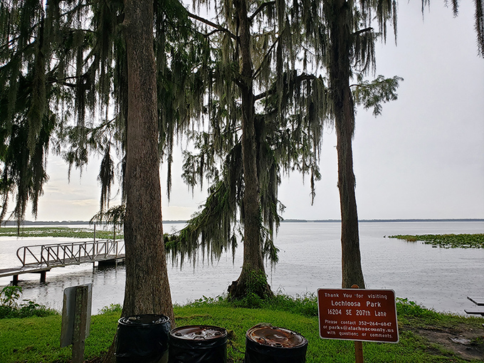 Lochloosa Park welcomes visitors with a simple sign and spectacular views, proving the best attractions don't need flashy billboards.