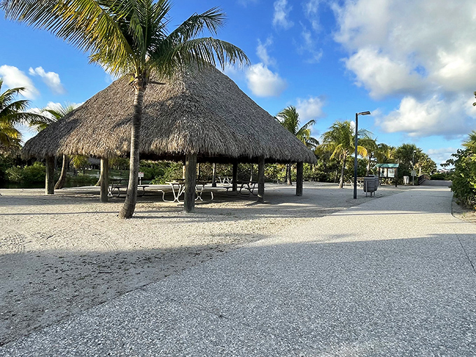 The thatched-roof pavilion stands ready for impromptu picnics, family gatherings, or simply providing shade when the tropical sun means business.