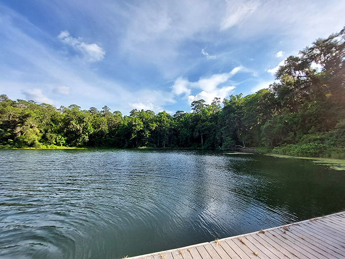 Morning light catches the glassy surface of this peaceful reservoir, where cypress trees stand sentinel along the shoreline.