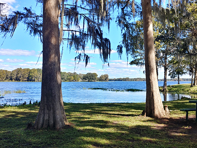 Open green spaces beckon picnickers and frisbee enthusiasts alike, where Florida's sunshine is always on the guest list.