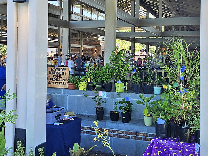 I Grow nursery offers potted possibilities &ndash; take home a living souvenir that will continue to flourish long after your visit ends.