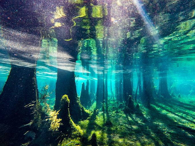 Beneath the surface, an ethereal underwater landscape reveals itself &ndash; a hidden world where time seems to stand perfectly still.