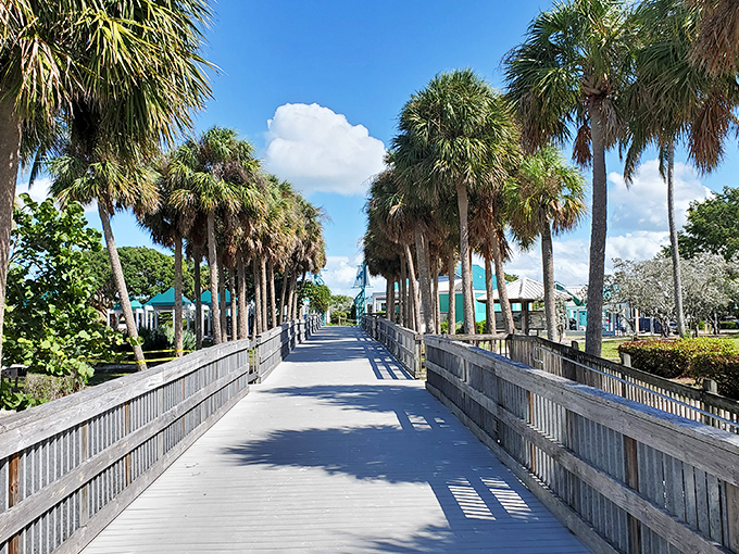 Palm-lined boardwalks at Bowditch Point Park create natural corridors leading to beaches where dolphins often play just offshore.