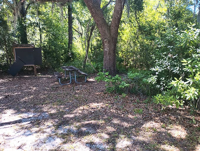 Take a break at this secluded picnic table nestled deep within the quiet woods of Clermont.