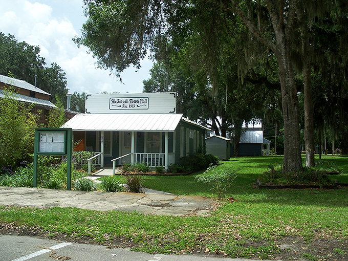 Civic charm in green! McIntosh's Town Hall looks like it belongs on a Norman Rockwell calendar, Spanish moss adding nature's bunting.