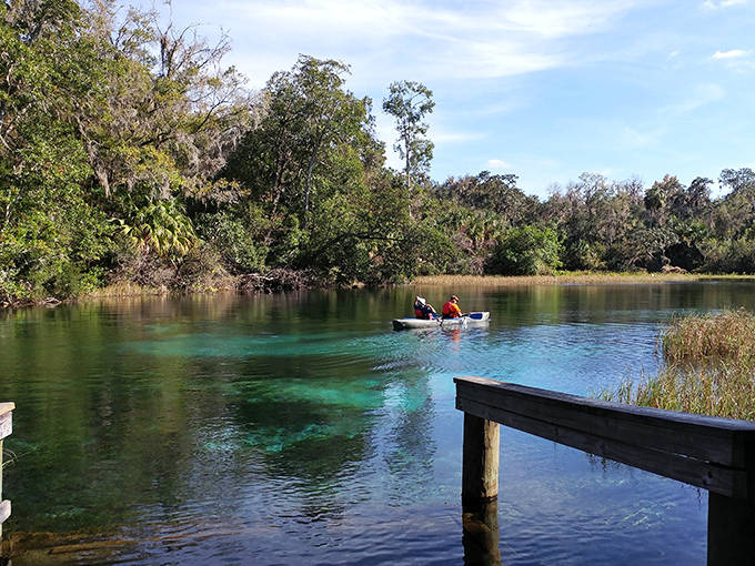 Crystal clear waters at Rainbow Springs State Park invite kayakers to glide across their mirror-like surface.
