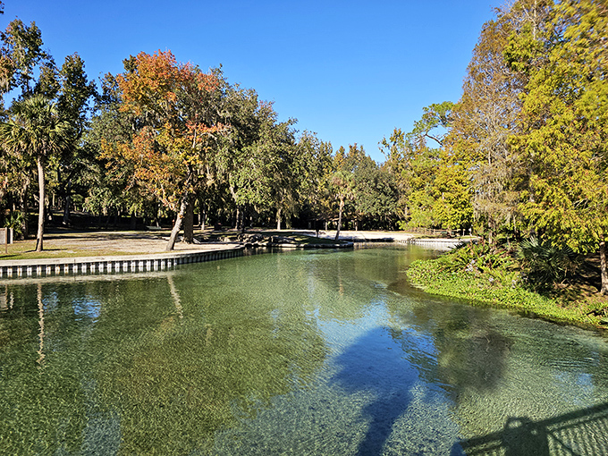 Rock Springs flows through a natural channel lined with limestone and lush vegetation at Kelly Park.