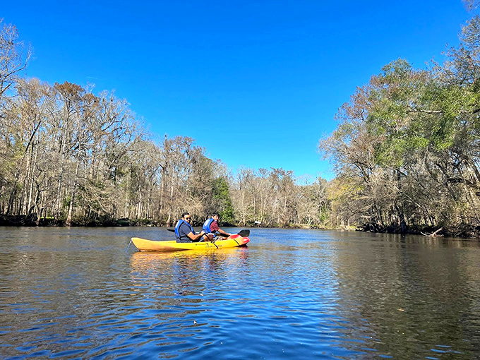 The vibrant blue waters of Ginnie Springs create a striking contrast against the sandy bottom and surrounding greenery.