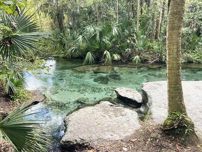 The pristine waters of Rock Springs wind through a forested paradise, creating nature's perfect lazy river.