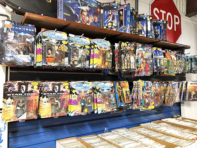 Action figure heaven &ndash; where childhood heroes remain forever plastic, forever young, and forever ready for their next adventure.
