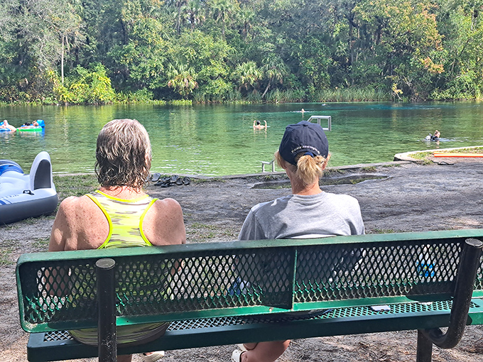 Front-row seats to nature's greatest show &ndash; no tickets required, just patience and appreciation for the simple pleasures.