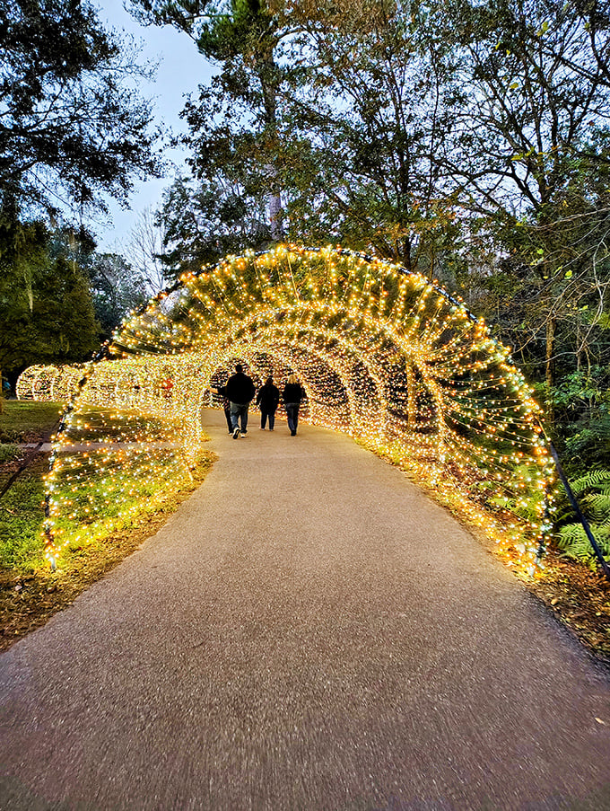 The nighttime transformation turns familiar paths into magical tunnels of light &ndash; like walking through a constellation brought down to earth.