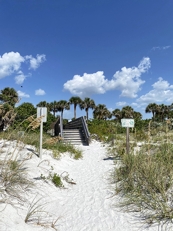 The path to paradise is wooden and weathered, leading beach-goers through sea oats and dunes to their sandy reward.