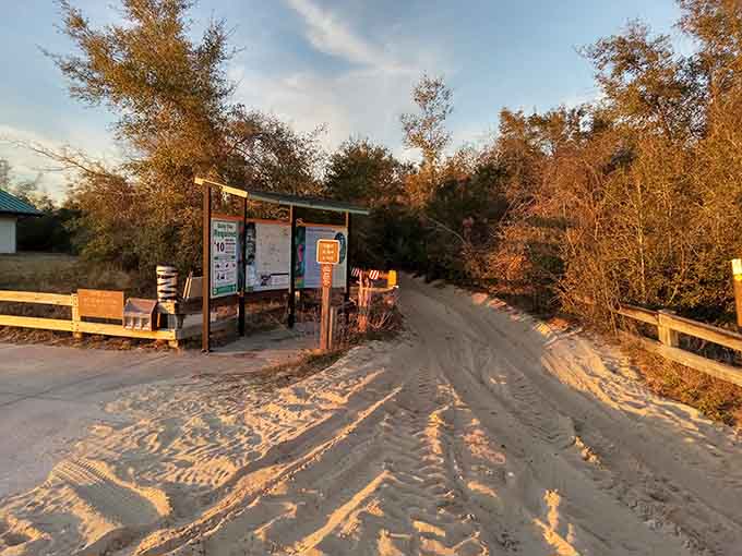 Trail entrances welcome hikers with information boards that actually contain useful information, not just corporate mission statements and motivational quotes.
