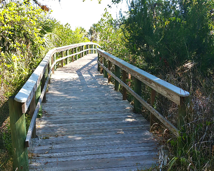 This boardwalk isn't just a path &ndash; it's nature's red carpet, inviting you to be the star in your own Florida adventure.