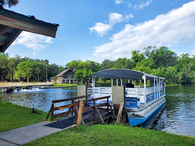 Where adventures begin! The spring run flows toward Lake Woodruff, offering paddlers a liquid highway through some of Florida's most pristine wilderness.