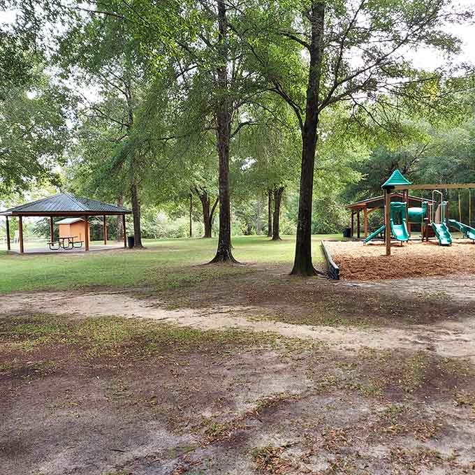 The playground equipment offers younger visitors a chance to climb higher than Britton Hill itself, which is both amusing and entirely possible given the modest elevation.