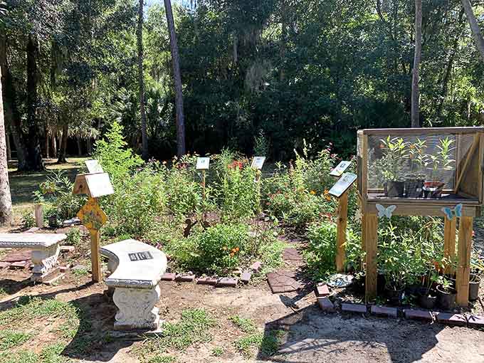 Community gardens prove that neighbors working together create something more beautiful than any individual effort could.