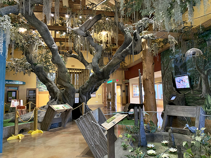 Inside the Discovery Center, nature comes indoors with impressive displays that bring the outside world to life for curious minds.