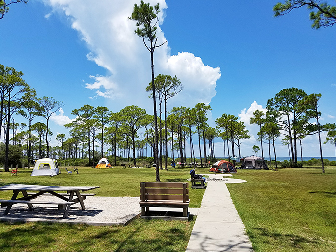 Dr. Julian G. Bruce State Park offers camping with a view &ndash; fall asleep to wave symphonies under star-studded skies.